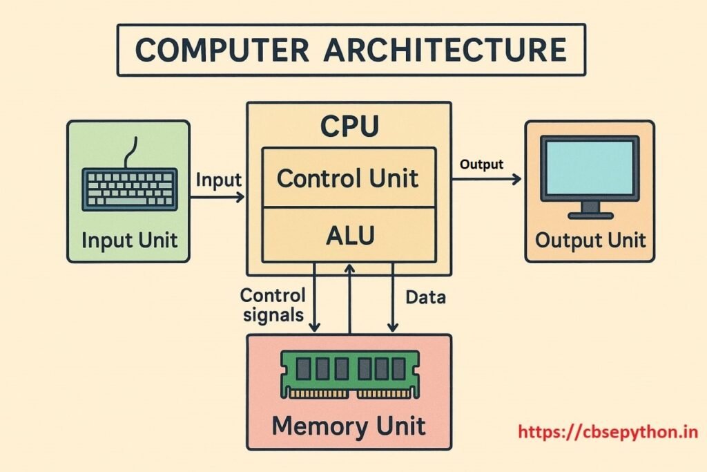 Basic Computer Organisation for Class 11: CBSE Easy Notes CBSE Python